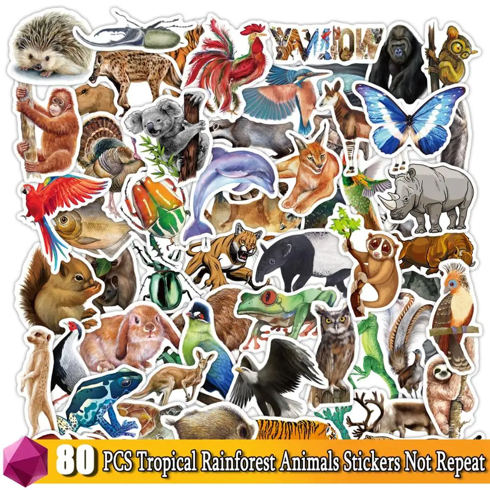 Cute Rainforest Animals Pictures