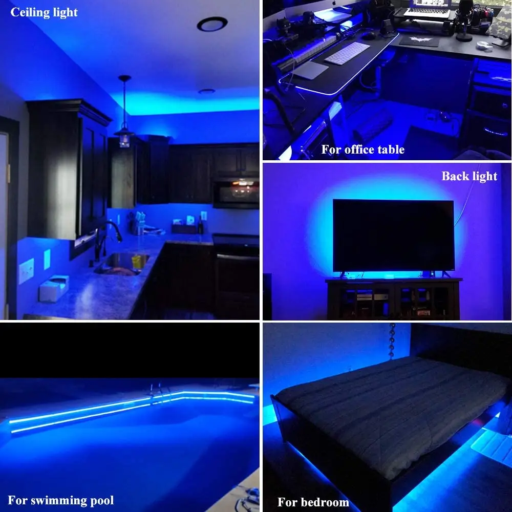 Light Blue And Black Rooms