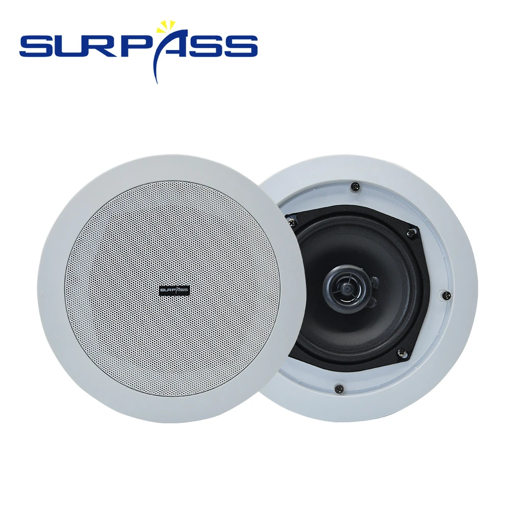 Coaxial Ceiling Speaker | canoeracing.org.uk