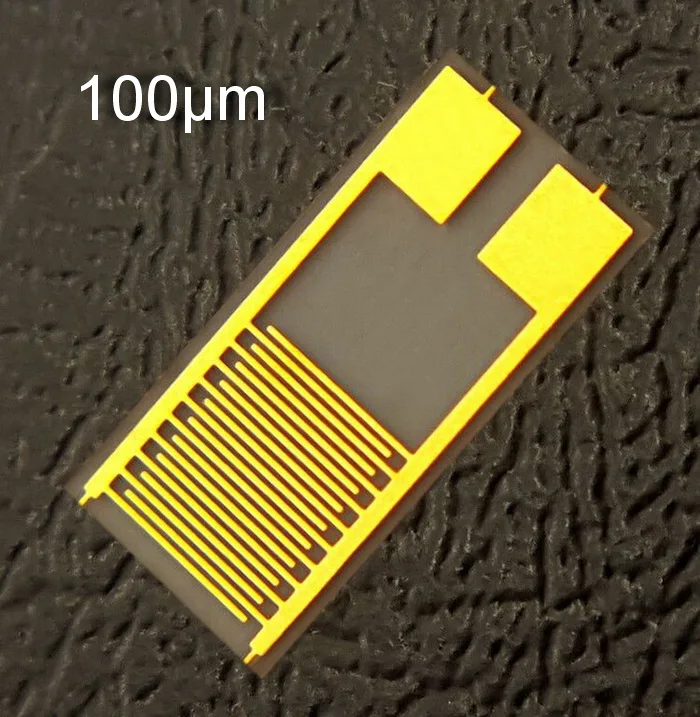 100micron Flexible Interdigital Electrode Capacitor Array Scientific ...