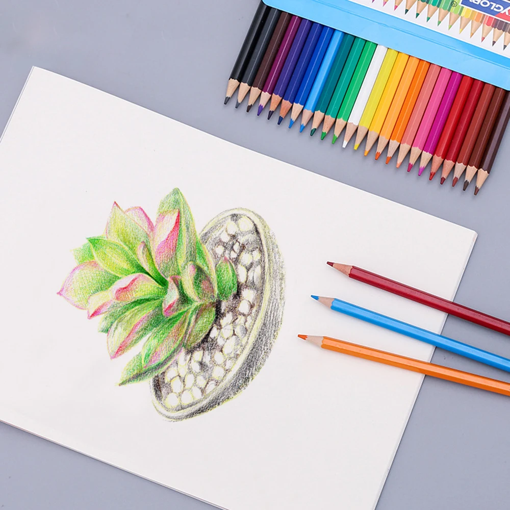 Drawings Of Nature With Colour Pencil