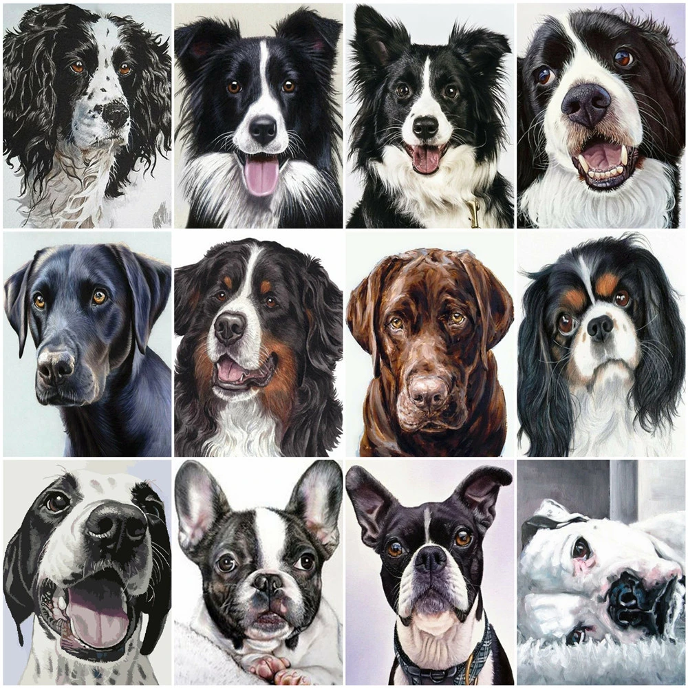 HUACAN-DIY-Pictures-By-Number-Dog-Kits-Drawing-On-Canvas-Hand-Painted ...