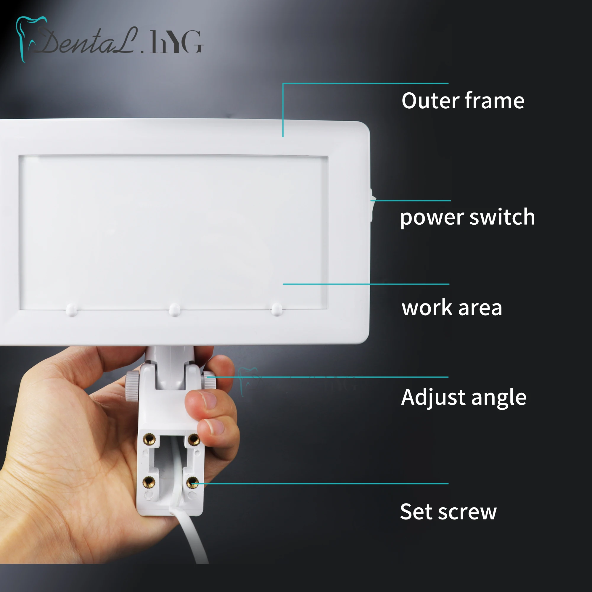 Dental X Ray Panels For Office