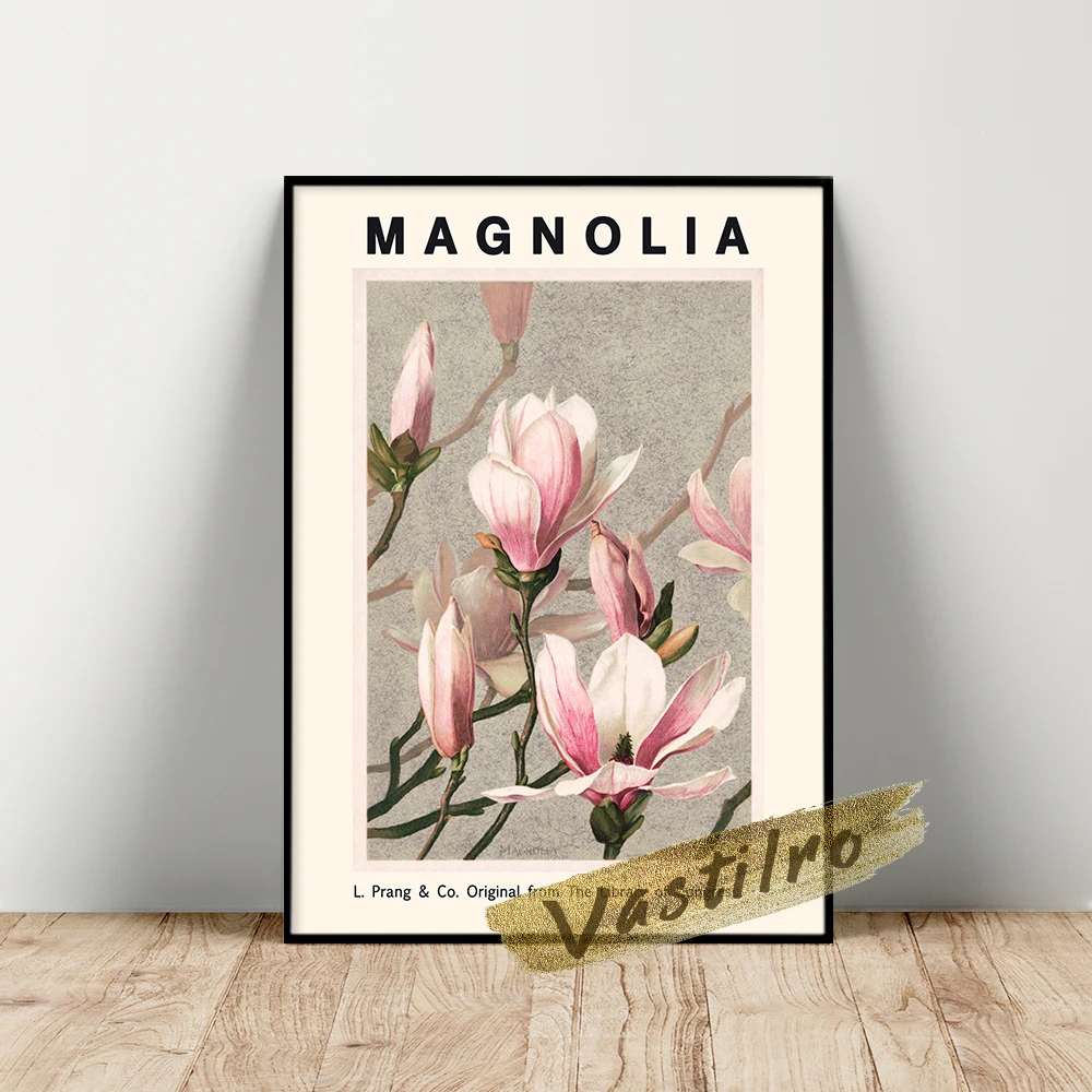 Magnolia Poster