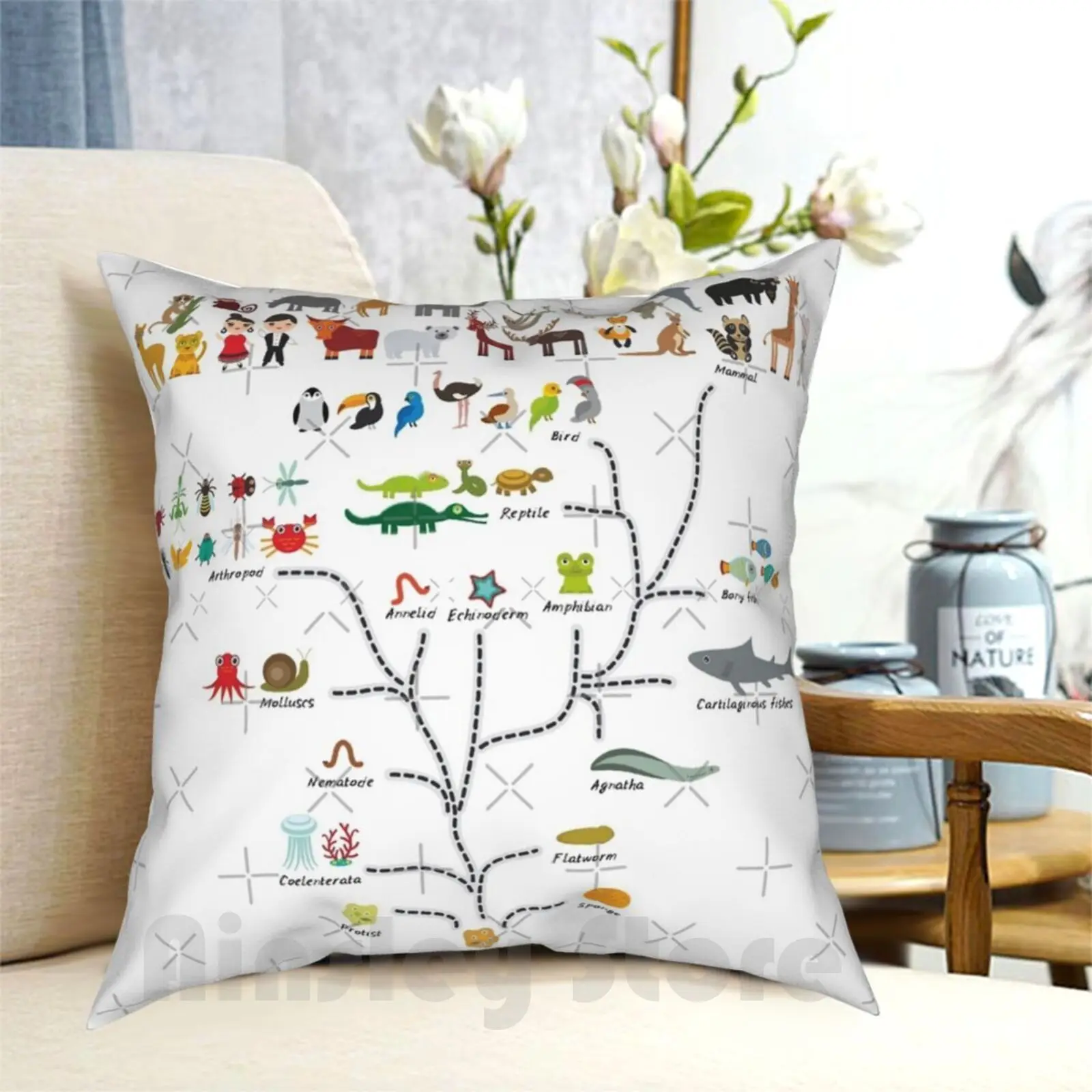 Evolution-Scale-From-Unicellular-Organism-To-Mammals-Evolution-In ...