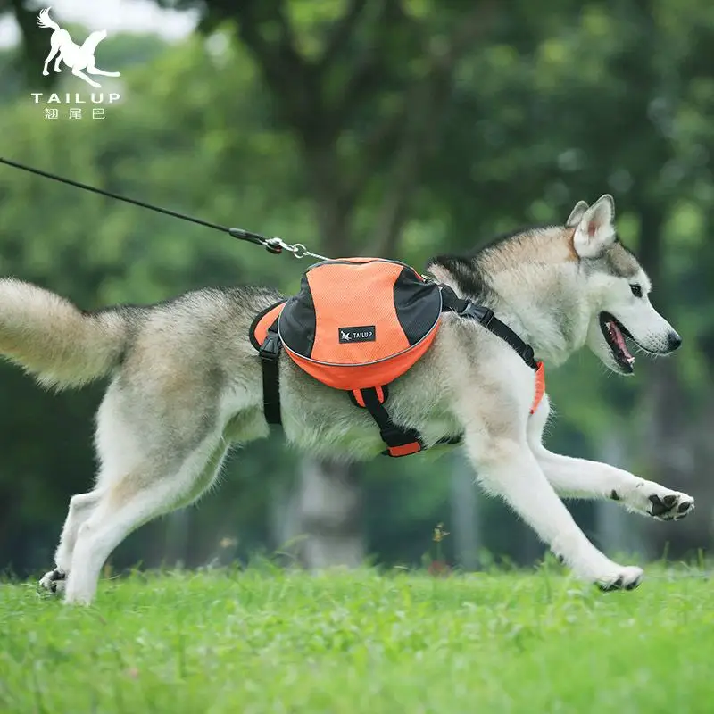 Pet Outdoor Backpack Large Capacity Dog Adjustable Saddle Bag Luxury ...