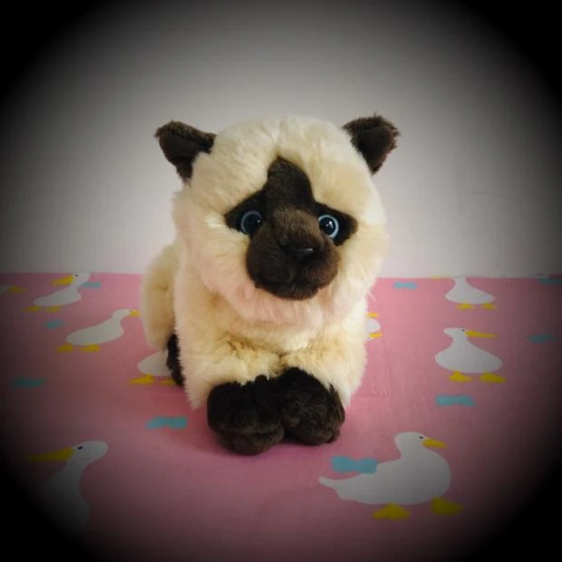 Webkinz Signature Cats