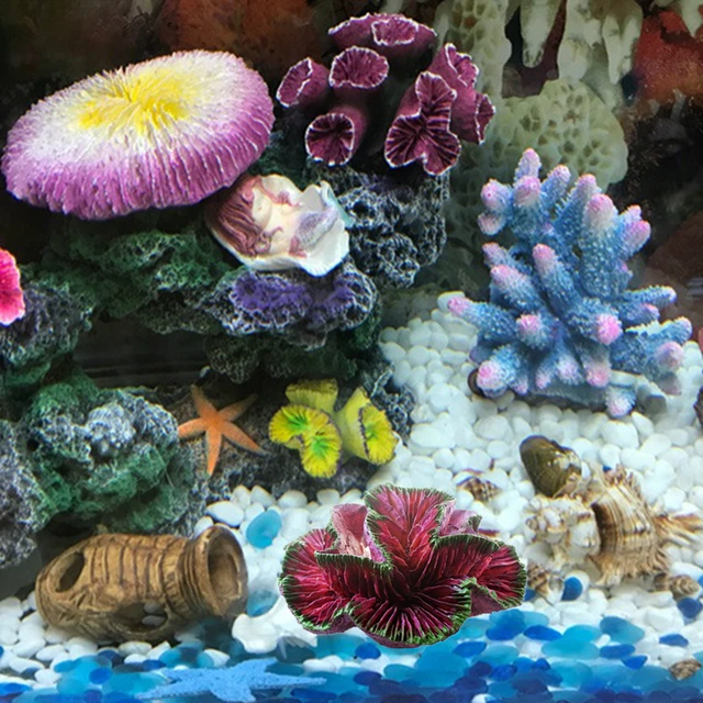 Coral Reef Background Fish Tank
