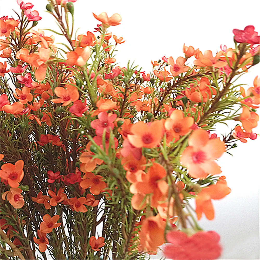 Orange Wax Flower Bouquet