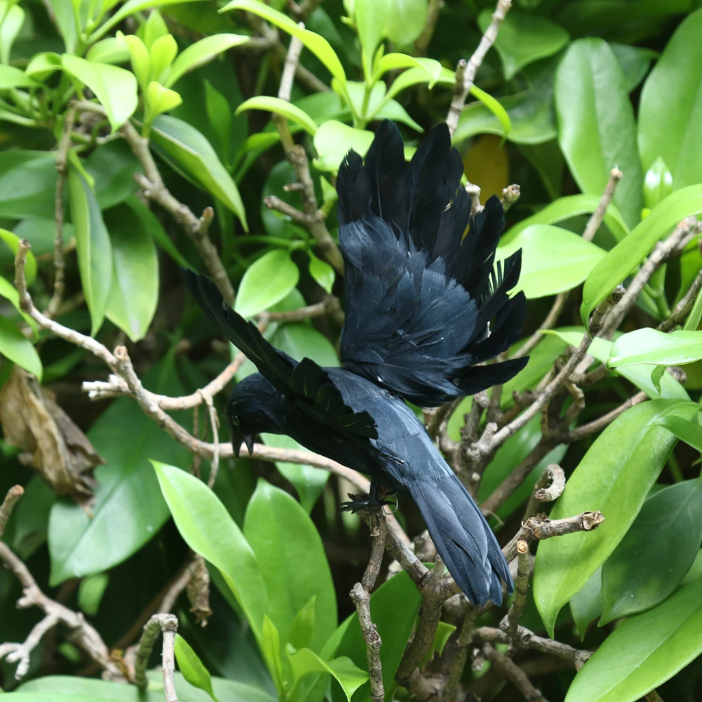 STATUE,--Statue de corbeau volant artificiel 12cm, décoration de jardin ...
