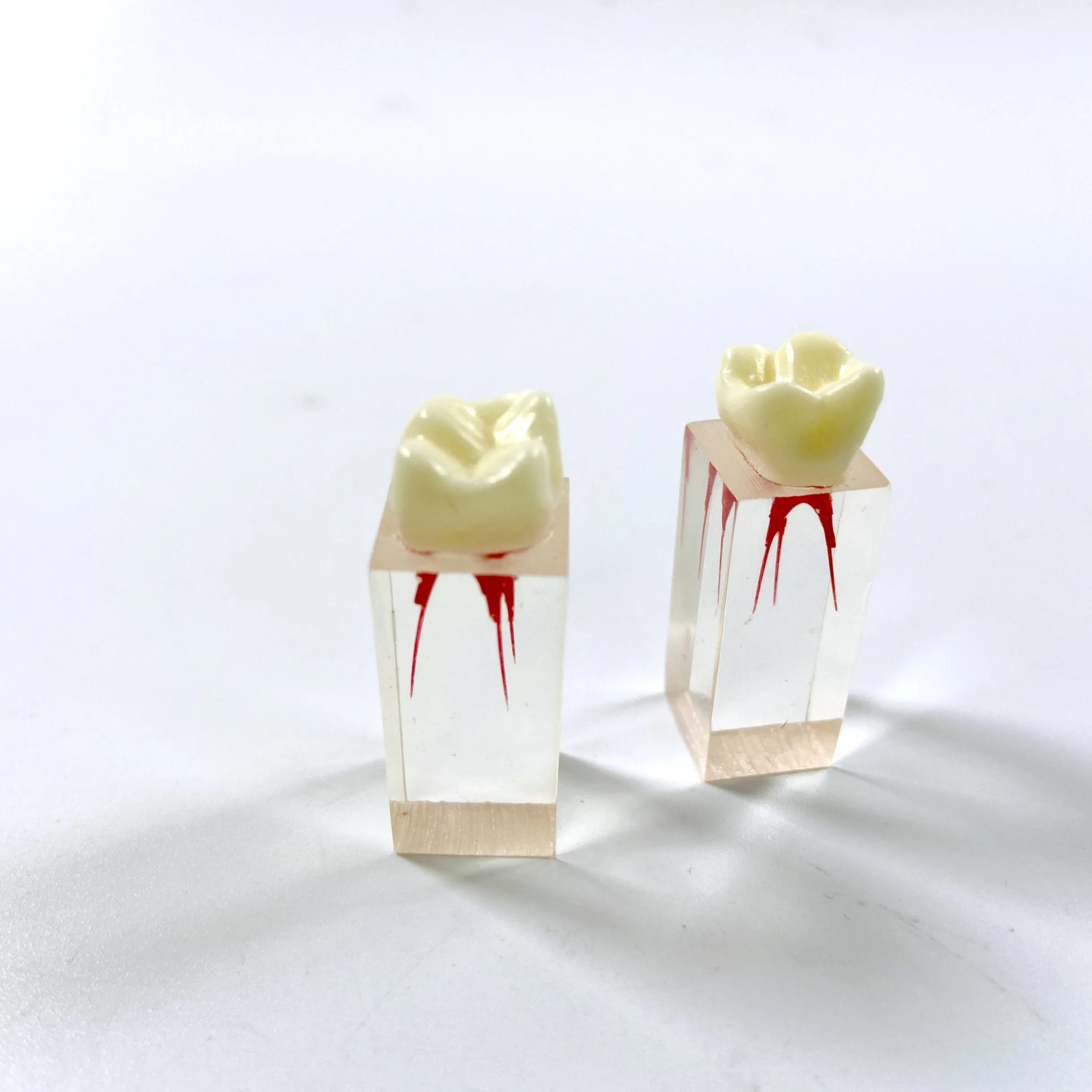 Dental-Model-Endo-Training-Block-Root-Canals-Dental-Root-Canal-Practice ...