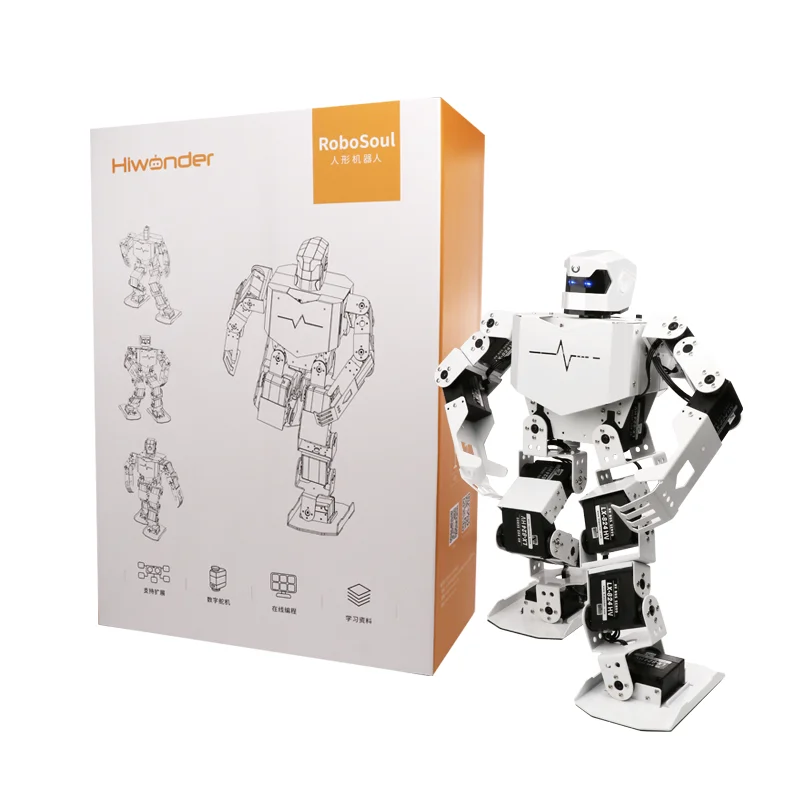 DIY-LoBot-H5S-intelligent-intelligent-education-programmable-bionic ...