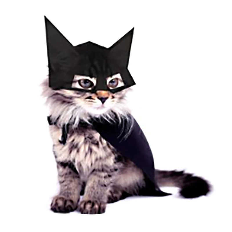 Bat Hat Halloween Costume for Cats and Dogs – MISS AMERICAN PAW