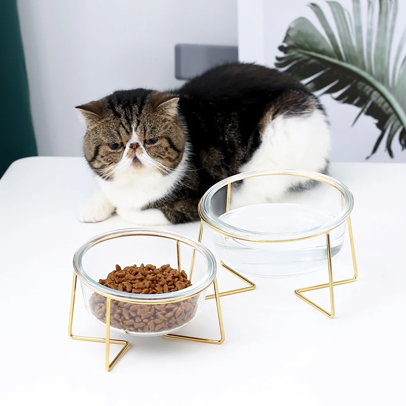 Cat-Bowl-Glass-Water-Drinking-Drinker-Feeder-Food-Feeding-Dispenser ...