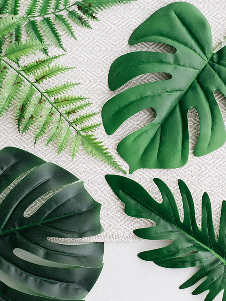Tropical Tumblr Backgrounds