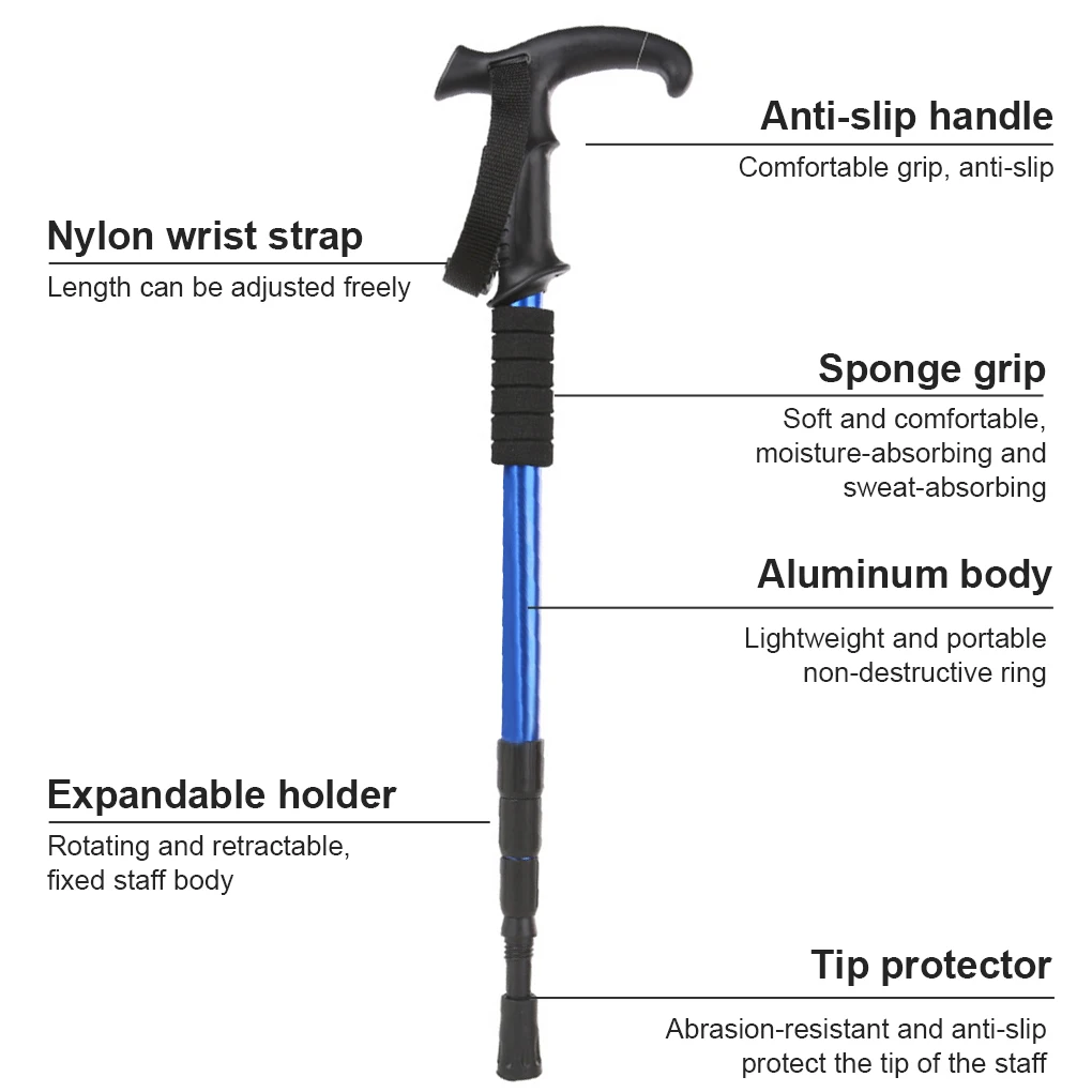 Walking Stick Body Parts