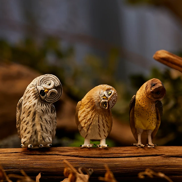 Guess Who Owl Clip Art