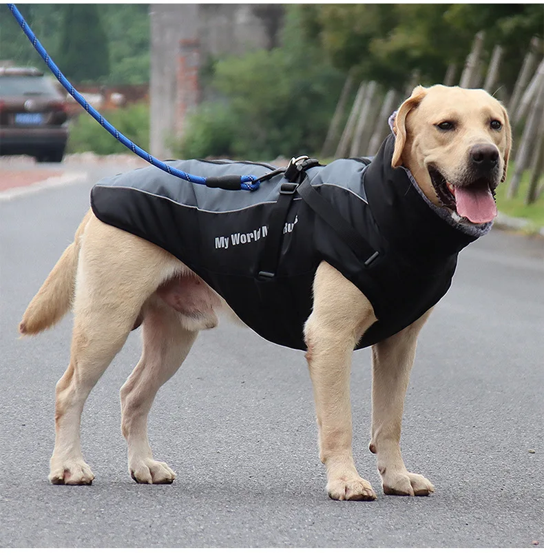 Dog Jacket with Harness | Waterproof Jacket for Large Dog | Big ...