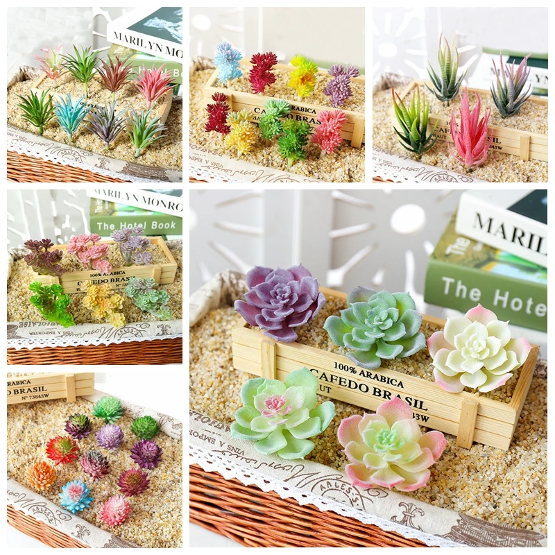 Plantas suculentas artificiais, verde, roxo, rosa, azul, jardim da casa ...