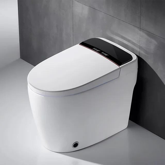 Motorized Toilet