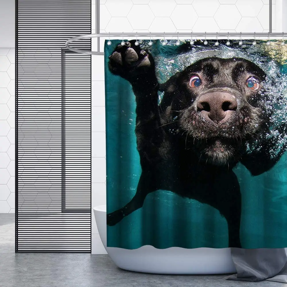 Chocolate Lab Shower Curtain
