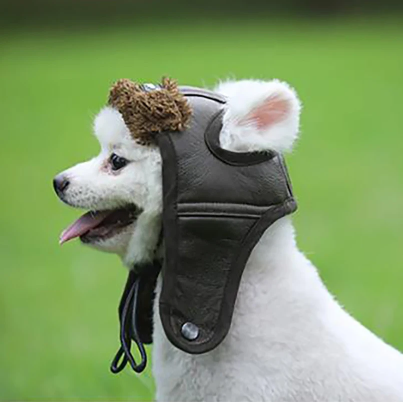 Winter Warm Pet Dogs Hat Puppy Warm Comfortable Handsome Poilt Cap ...