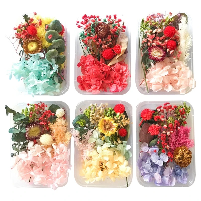 1 Box Dried Flowers UV Resin Decorative Natural Flower Stickers 3D Dry ...