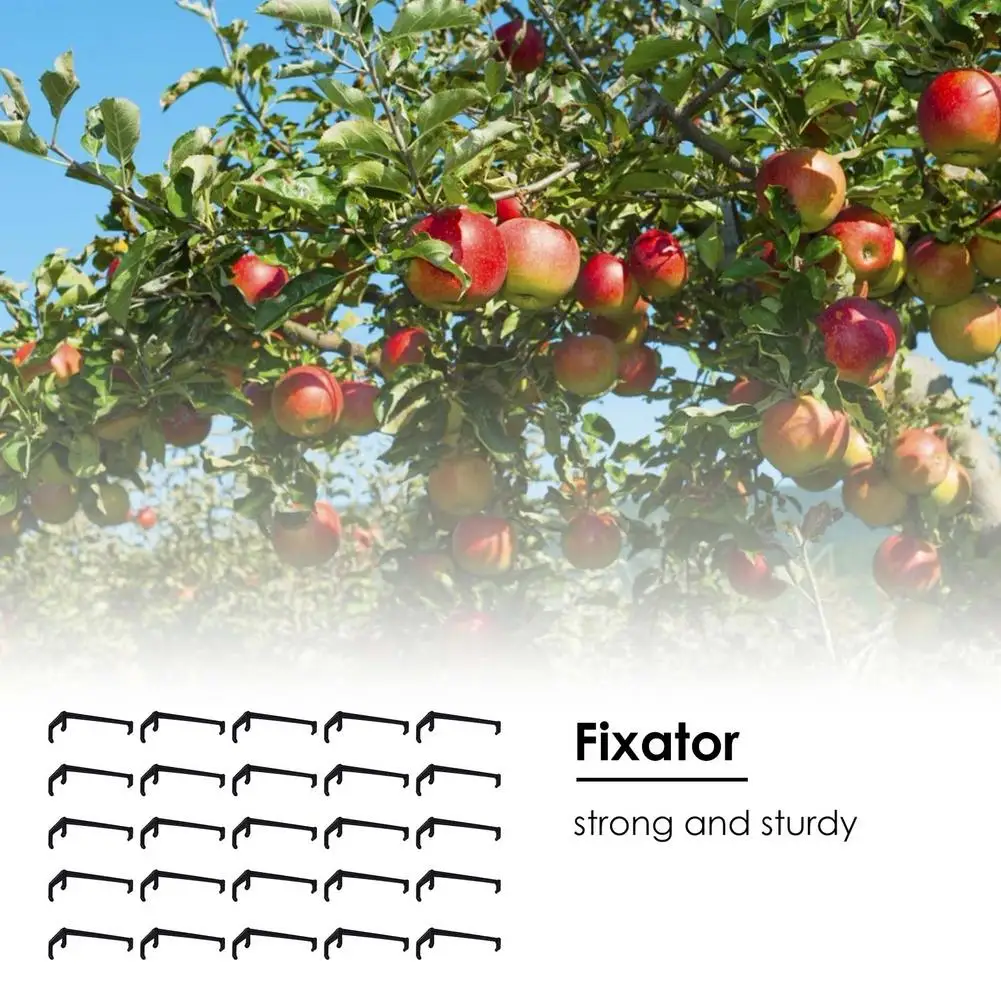 Fixator Fruit Branch Spreader Tree Branch Support Frame Durable ...