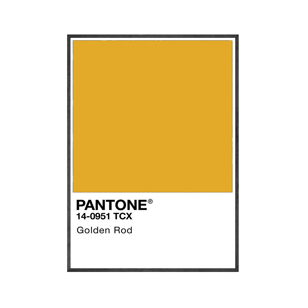 Goldenrod Color Pantone