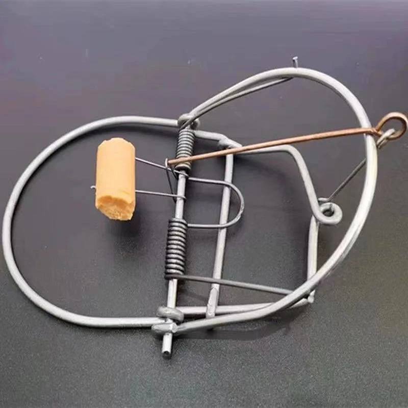 Piège nuisible,Lot de de pièges à souris et à Rat en métal, piège à ...