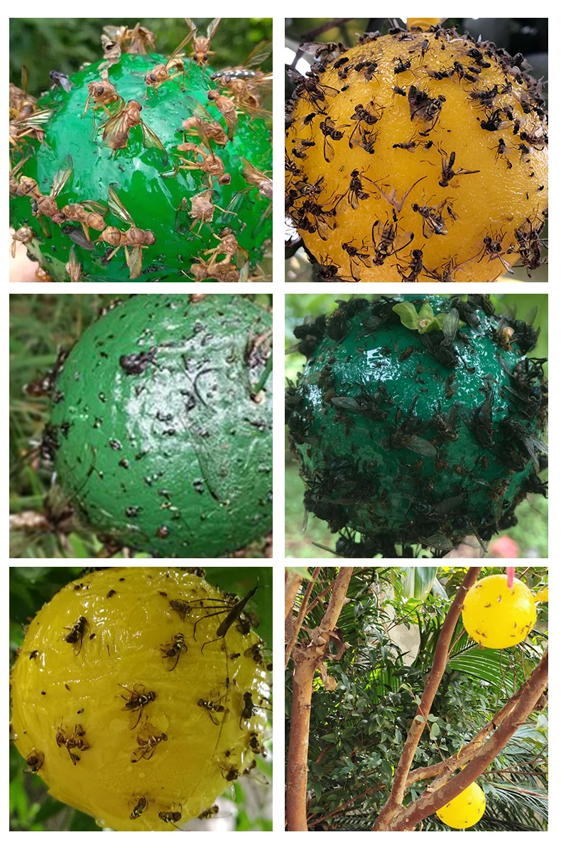 Piège nuisible,Boule anti-insectes, piège à mouches, anti-moustiques ...