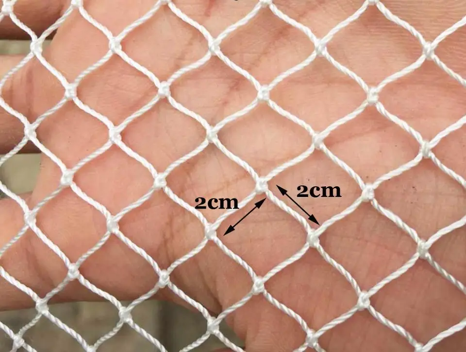 Coloured Garden Mesh Nylon 25' X 50' Anti Bird Netting With 1'' Square