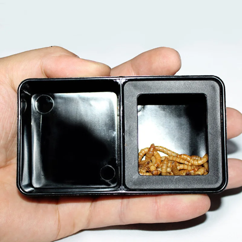 Reptile Insect Spider Ants Food Feeding Bowl - iLovPets.com