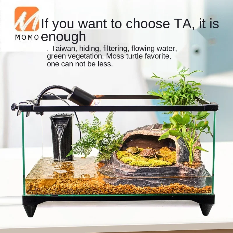 Baby Turtle Tanks
