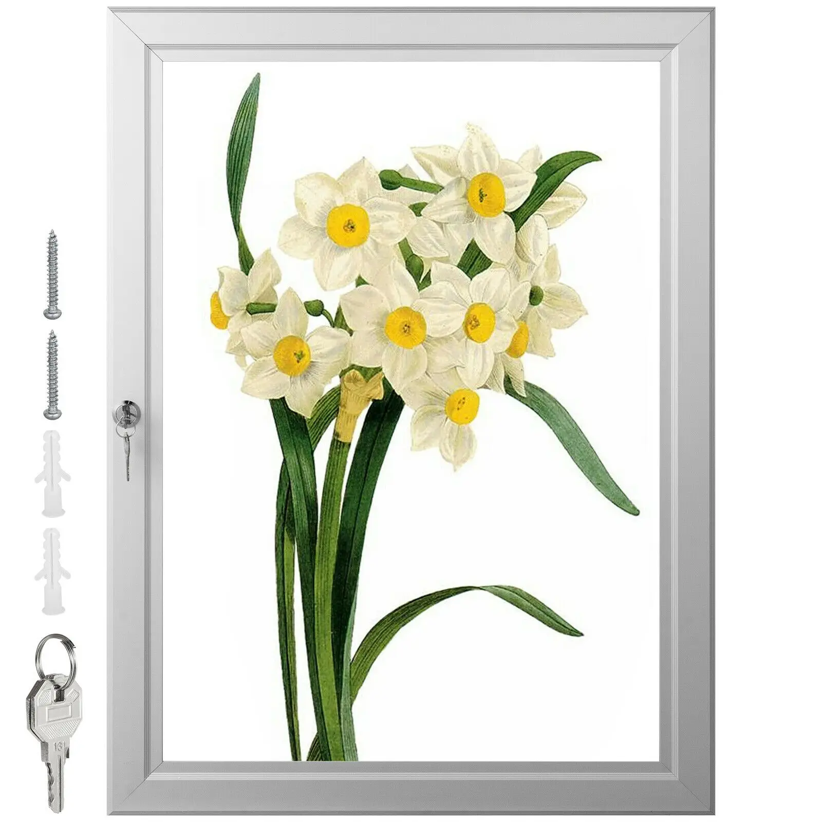 Lockable Poster Frames