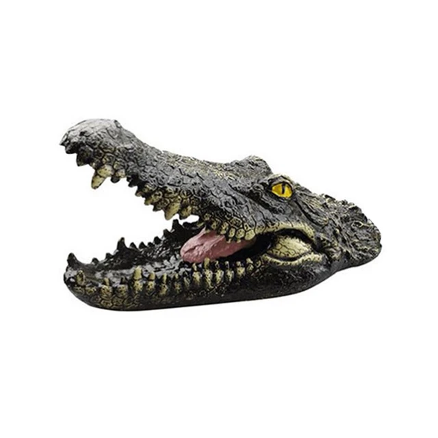 Crocodile Head Open Mouth