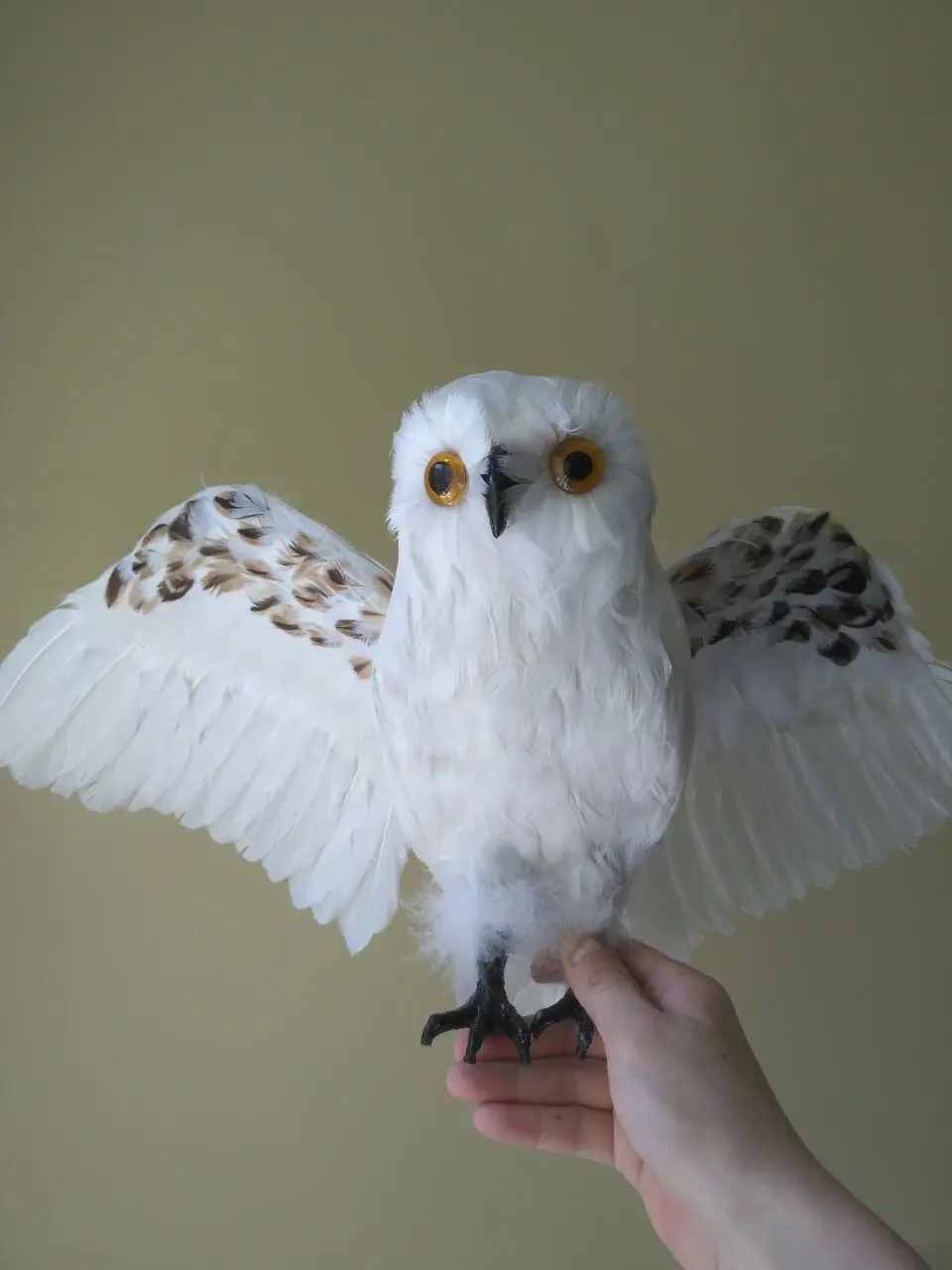 White Owl Wings Spread