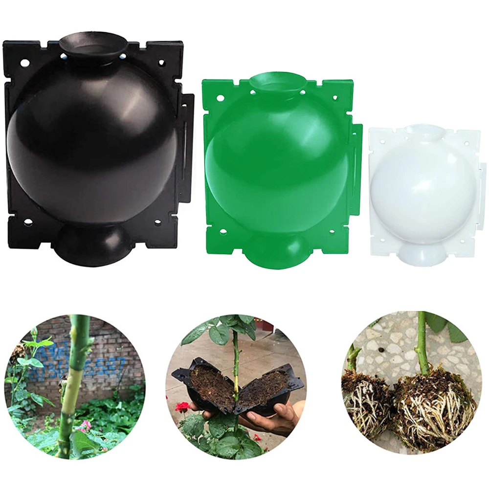 Plant Root Growing Ball Box | Rooting Ball Transparent | Plant Root ...