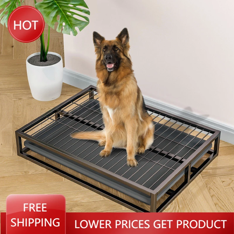 How Do You Potty Train An Indoor Dog