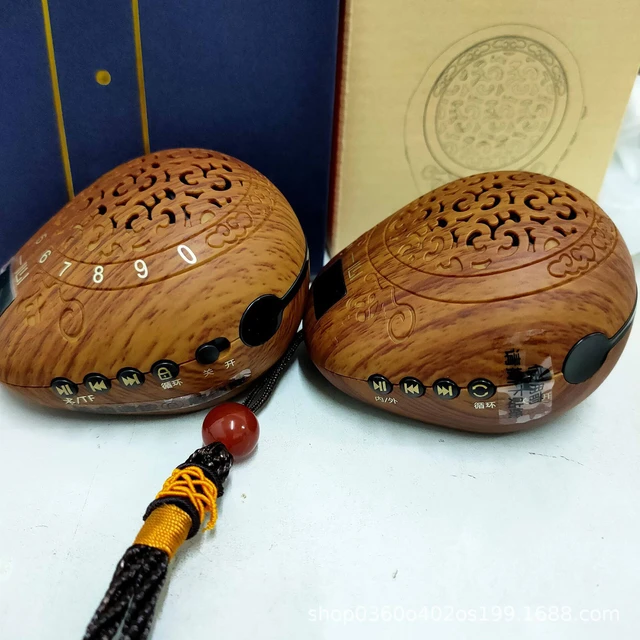 Chinese Buddhist Praying
