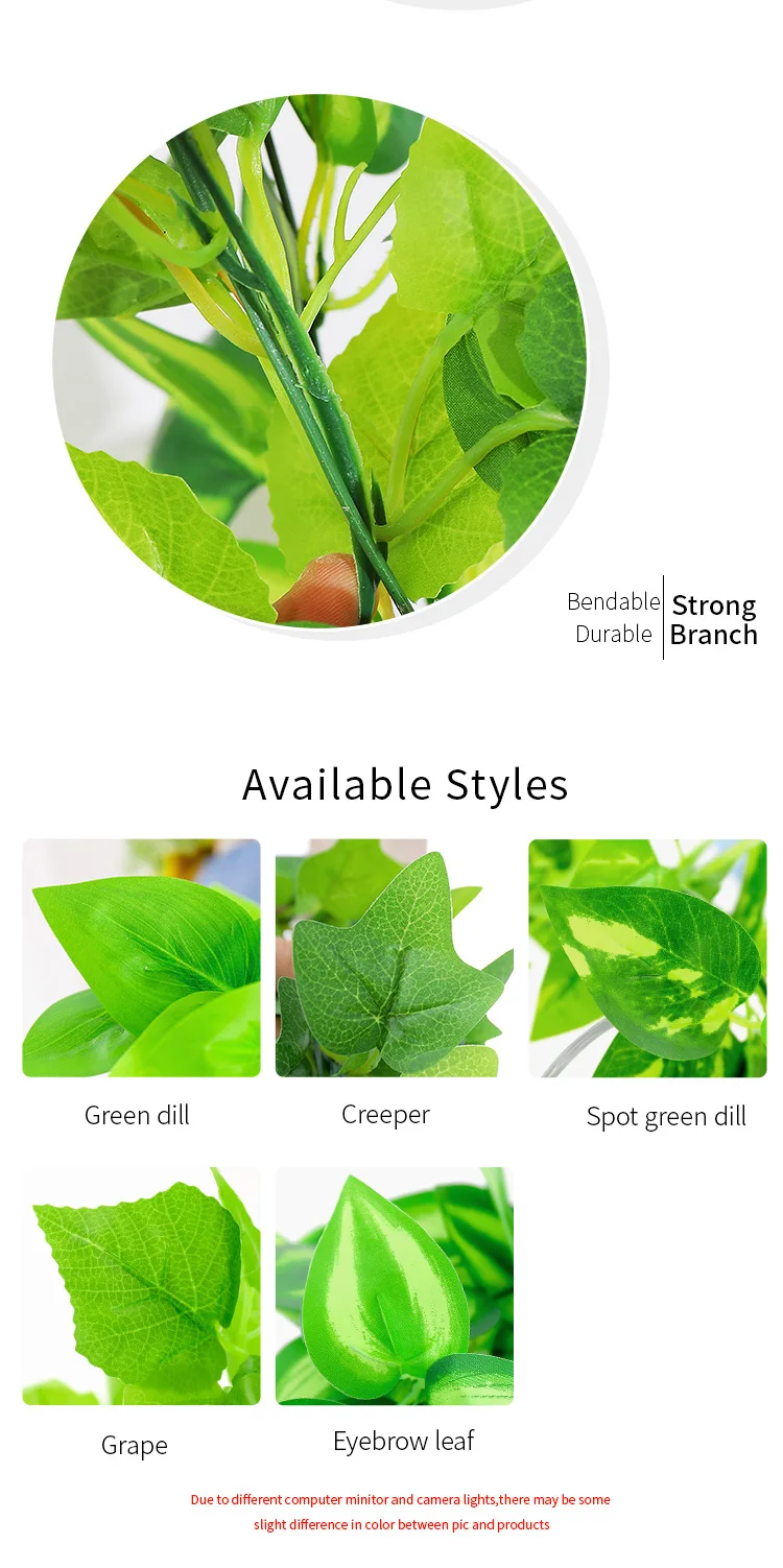 classfying of daun jejala in english - Gavin Powell