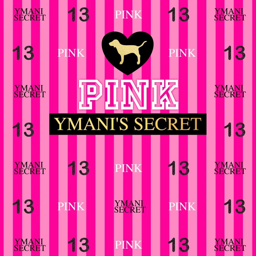 Party Supplies VS Pink Custom Banner Pink Personalized Banner Victorias ...