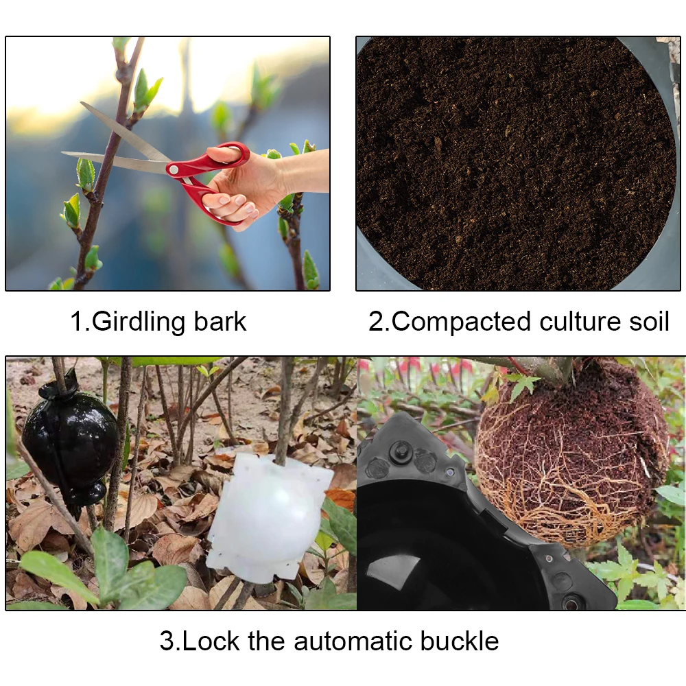 Jardinière,Reproduction Box de Culture Cas Plante Racine Box de Culture ...