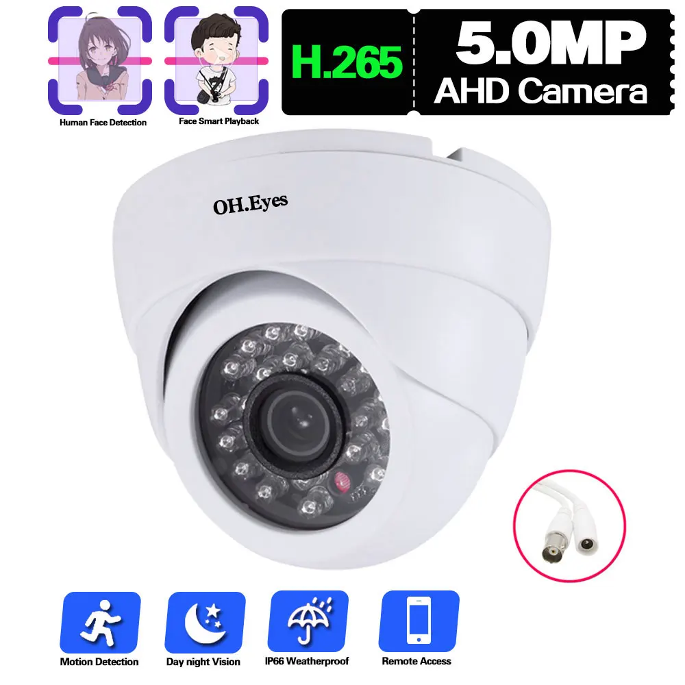 Face Detection CCTV Analog Dome Camera Outdoor AHD Security Camera HD ...