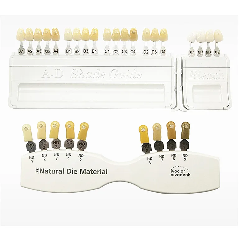 Porcelain Dental Teeth Denture tooth color Dental model Oraltooth teeth ...