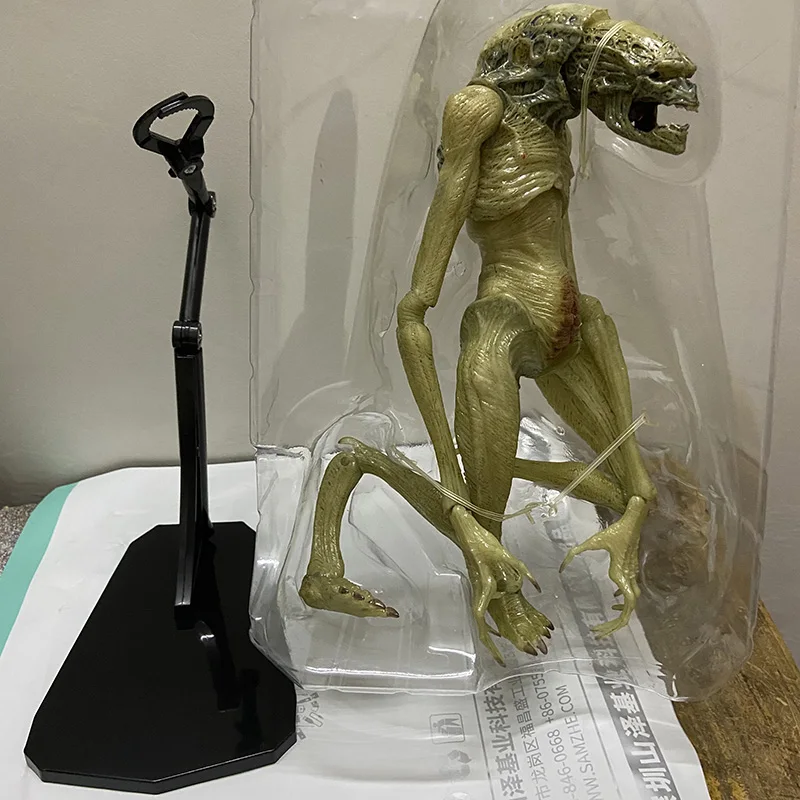 Predalien Vs Newborn