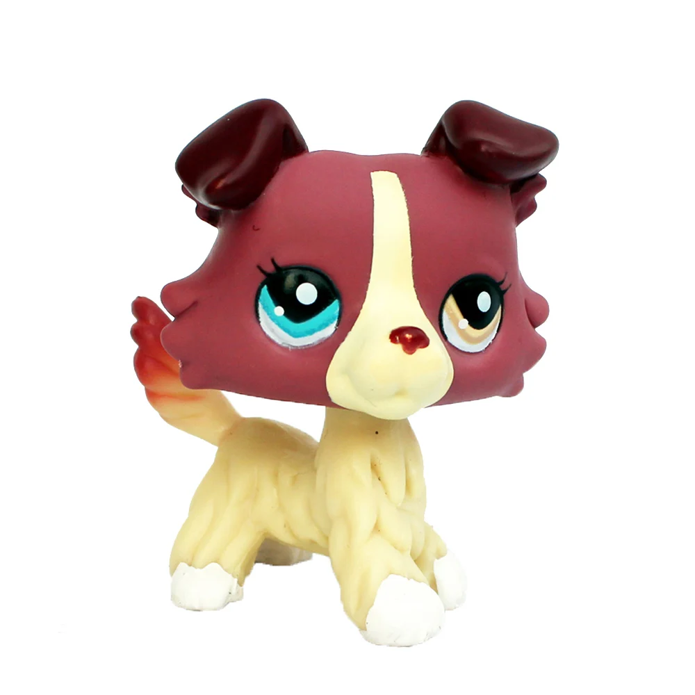 Littlest Pet Shop Border Collie | ppgbbe.intranet.biologia.ufrj.br