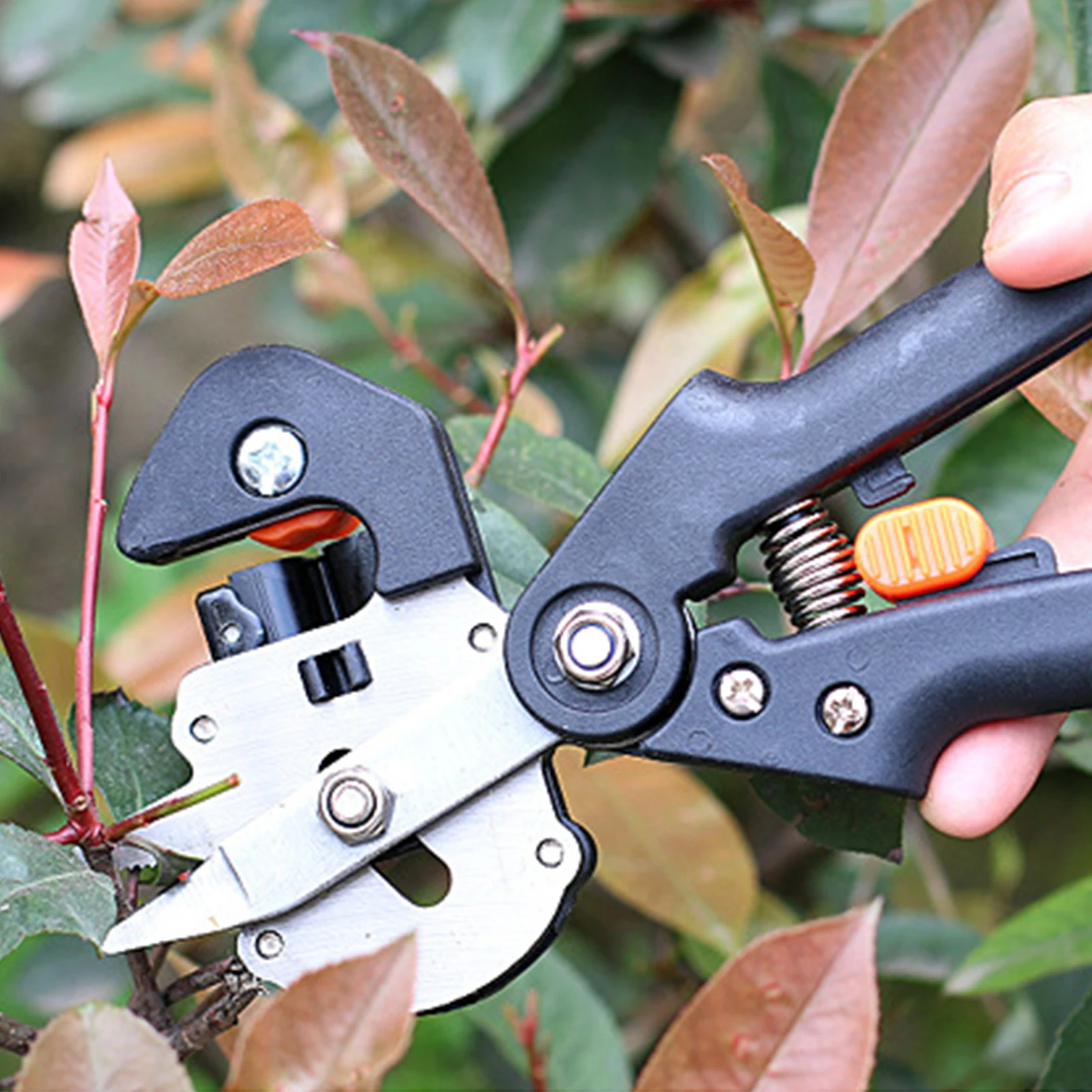 Professional Grafting Tools Grafter Pruner Kit Garden Fruit Tree ...