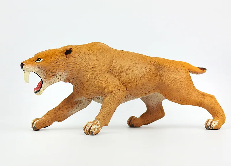 Real Life Saber Tooth Tiger