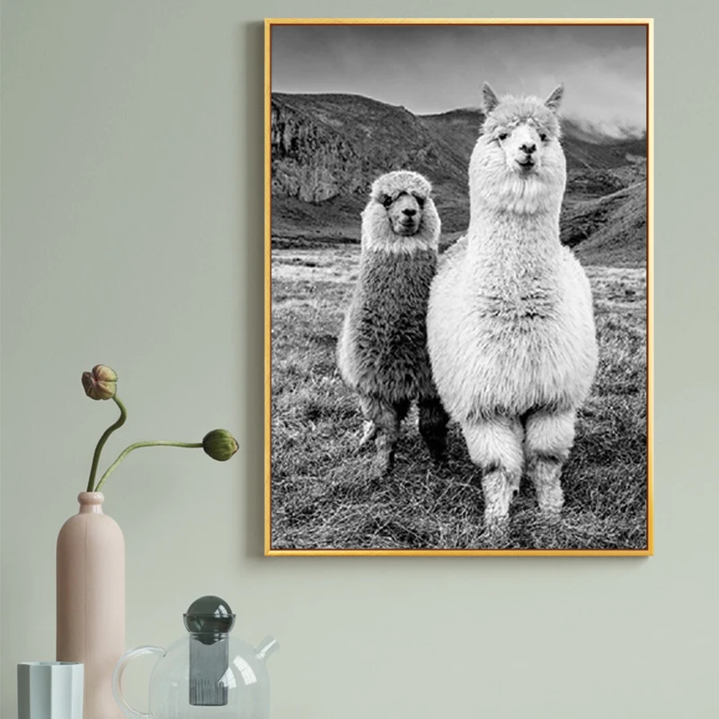 Alpaca Art